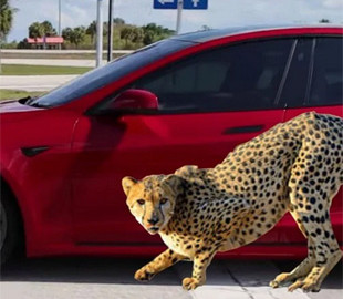 Новий режим прискорення з місця Cheetah Stance для Tesla Model S ...